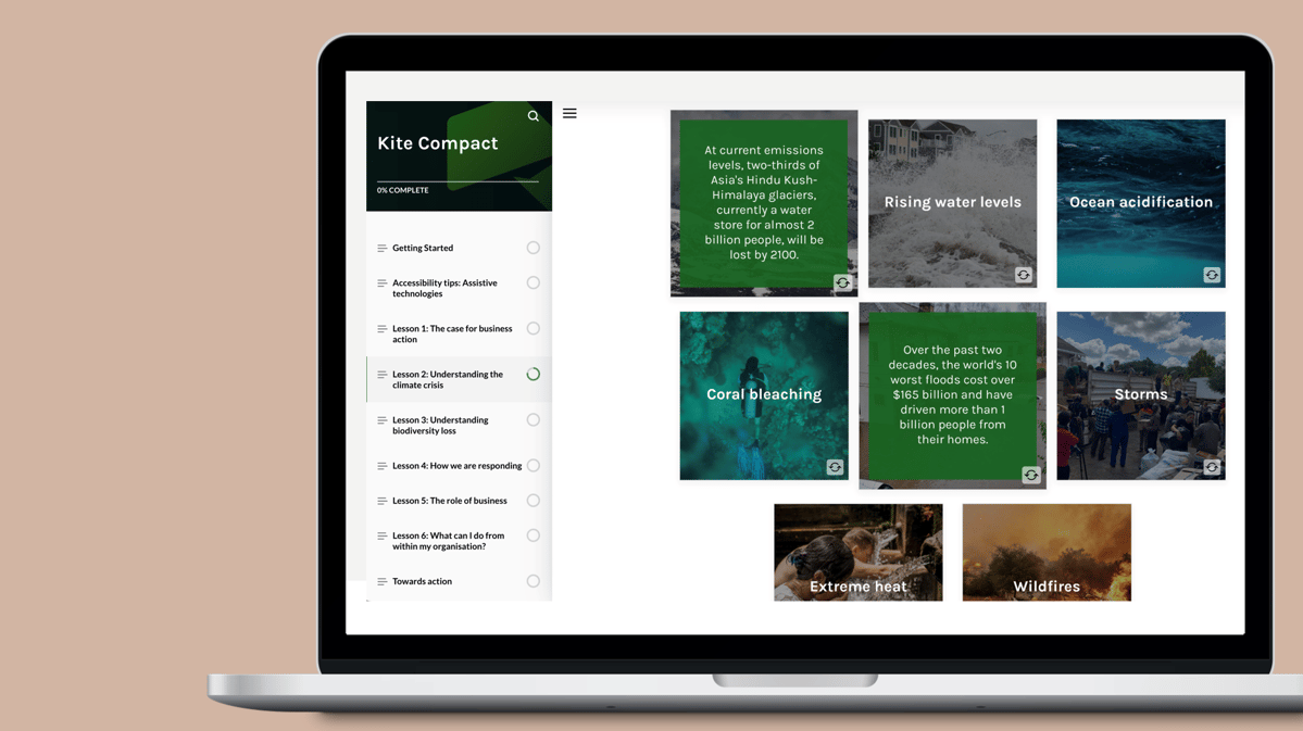 Kite Insights | Home